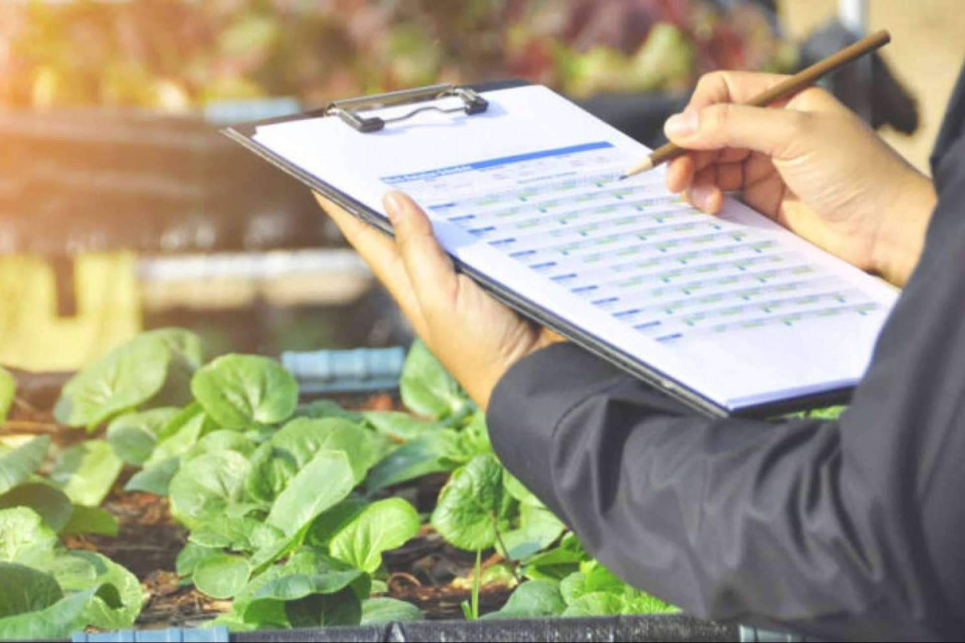 QualitApp, una plataforma de Locatec que simplifica el control de calidad en empresas e ...